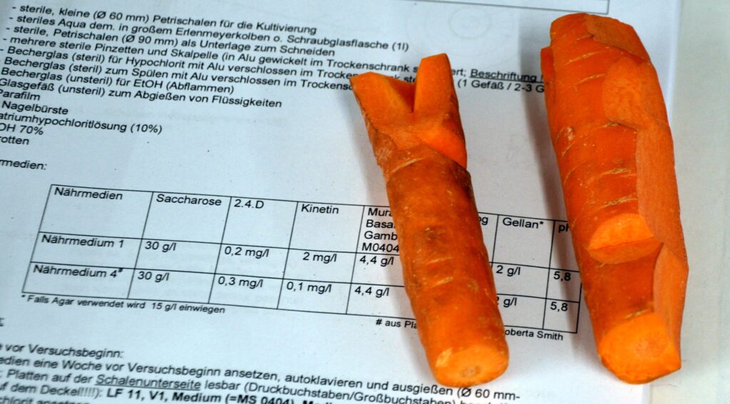 Aus „alt“ mach‘ „jung“! – TechnikGarage